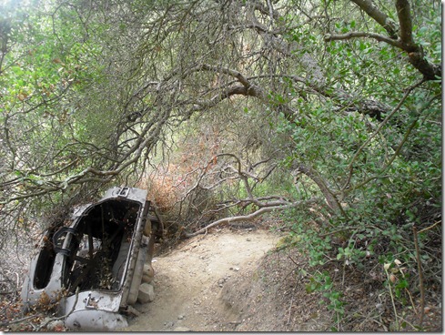 On the Run: Car Wreck Trail